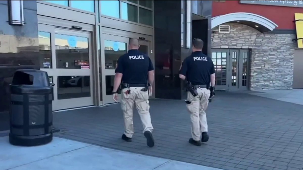 Mall locked down after shoplifter fires gun, runs off pantsless: Police ...