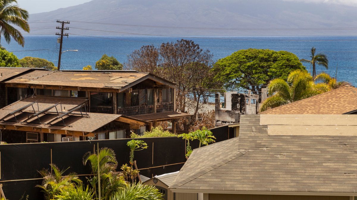 Historic West Maui neighborhood survived deadly wildfire as Lahina ...