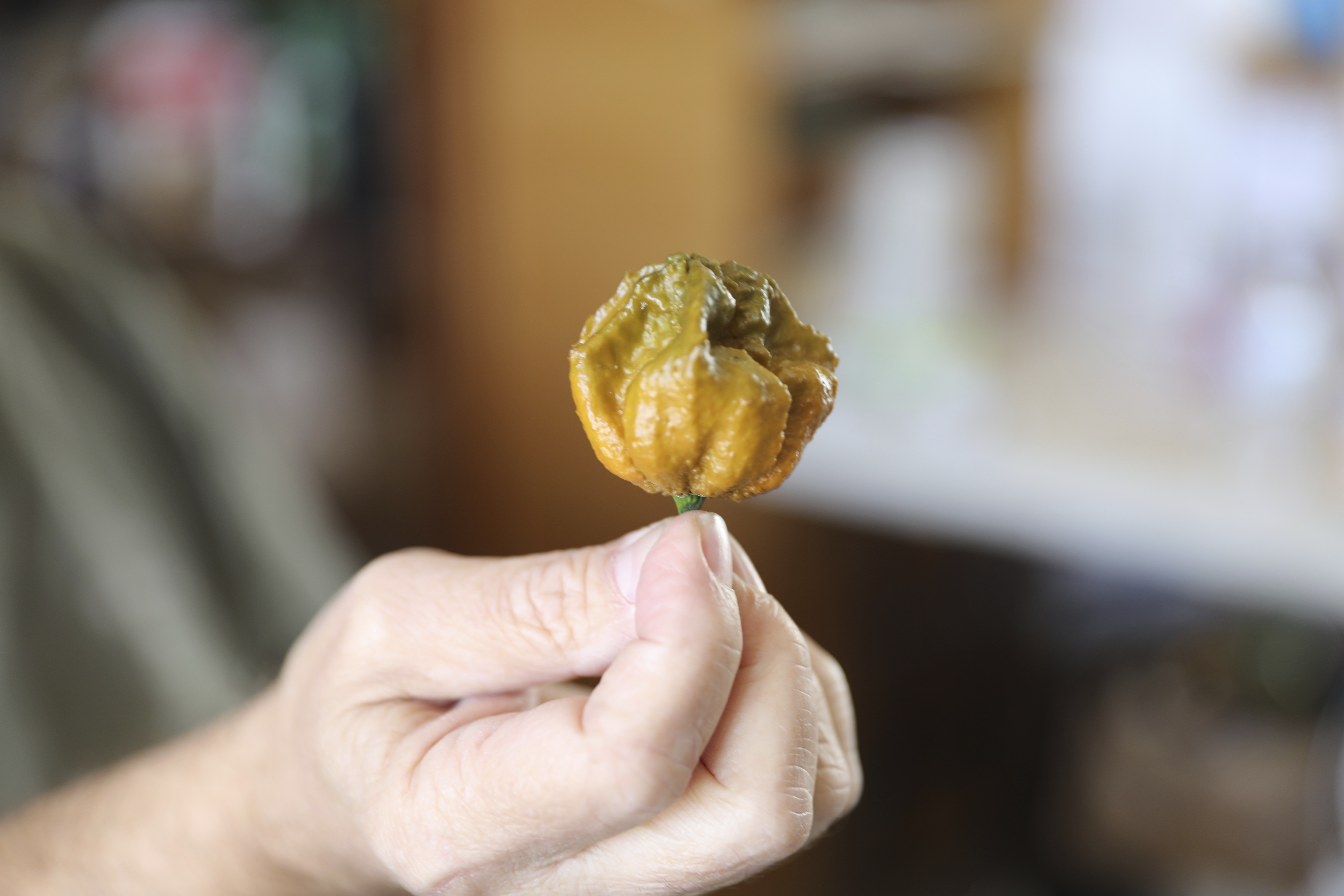 ‘Pepper X’ dethrones Carolina Reaper, is named world’s hottest pepper ...