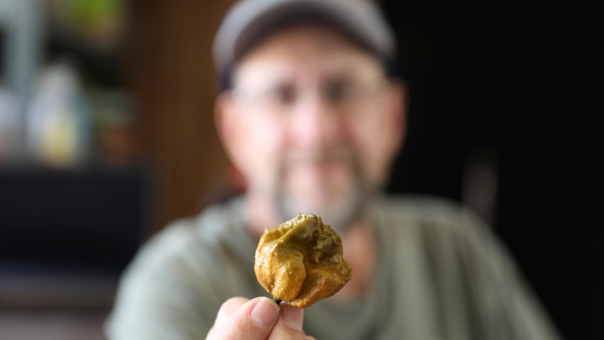 ‘Pepper X’ dethrones Carolina Reaper, is named world’s hottest pepper ...