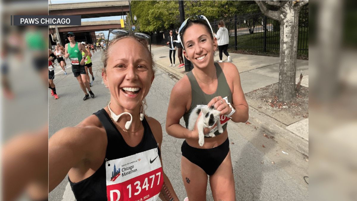 Bank of America Chicago Marathon runner rescues kitten – NBC New York