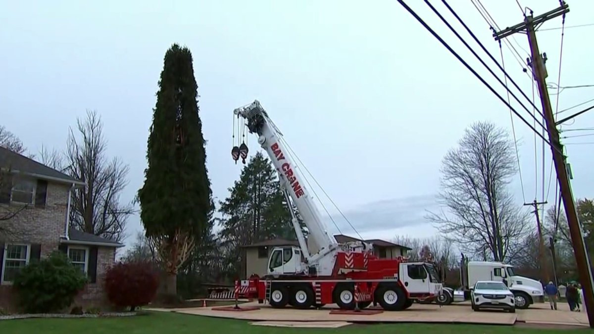 30 Rock Holiday Tree Ready for its 200 Mile Journey – NBC New York