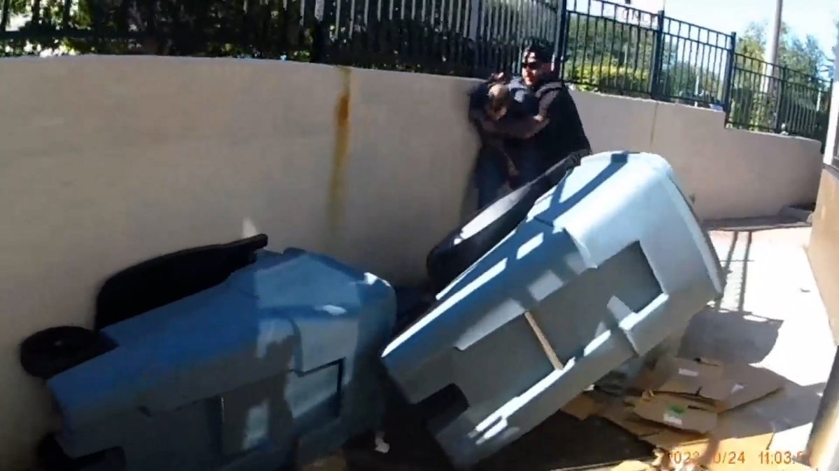 Good Samaritan helps thwart attempted carjacking during Florida crime spree – NBC New York