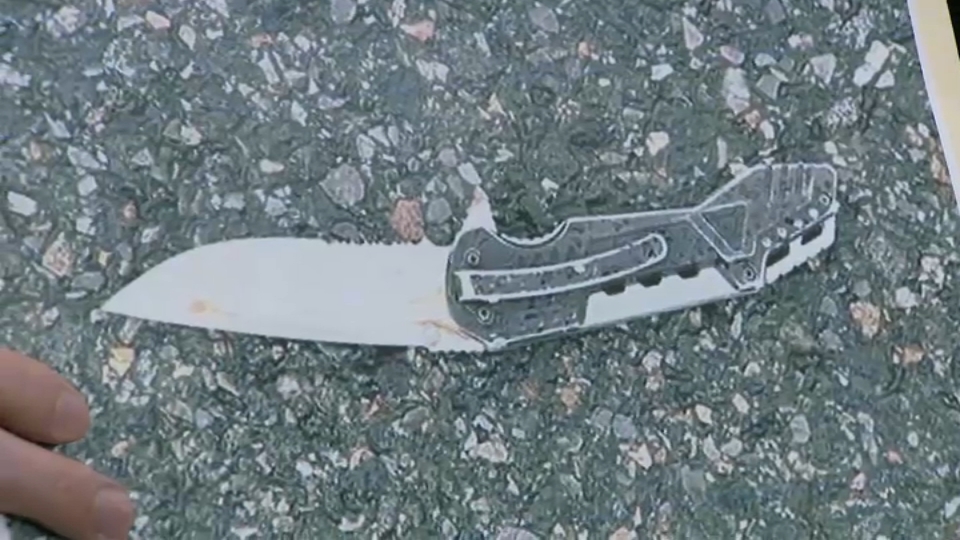 Brooklyn double murder suspect Jason Pass dies after being shot by ...