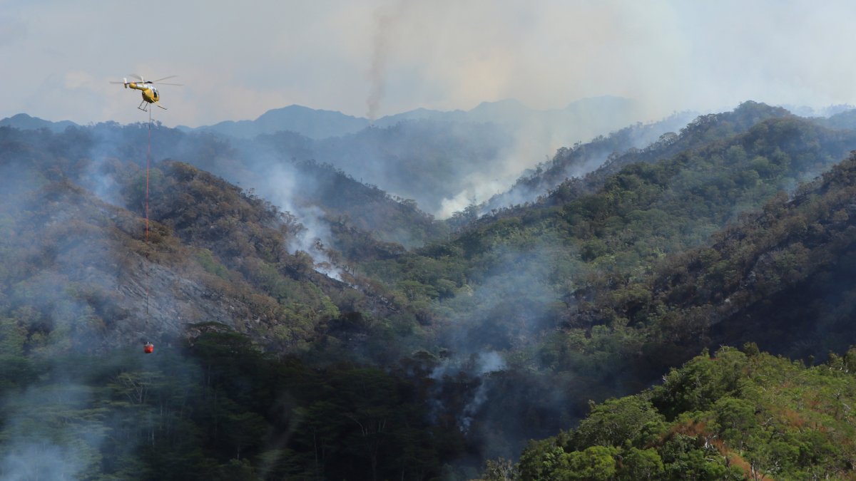 Hawaii firefighters battle wildfire in Central Oahu – NBC New York