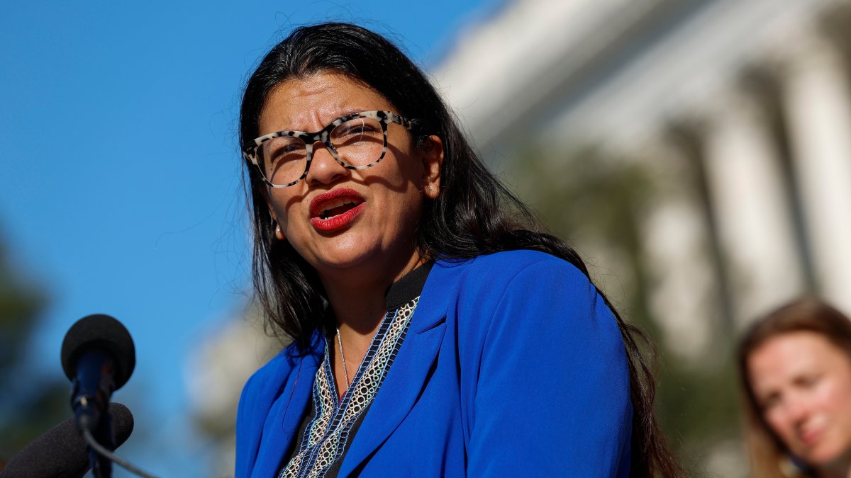Democrats criticize Rep. Rashida Tlaib for her pro-Palestinian comments ...