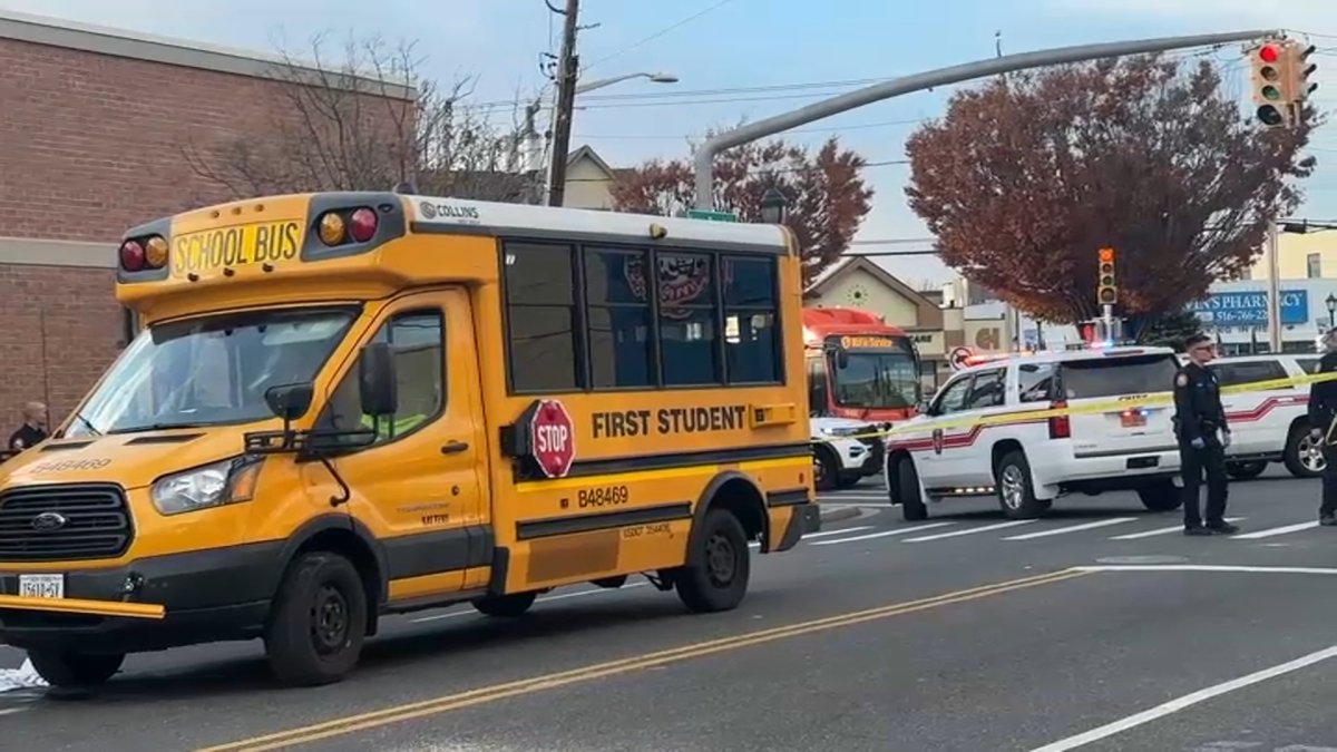 Long Island news: Mother and baby in stroller struck by school bus in ...