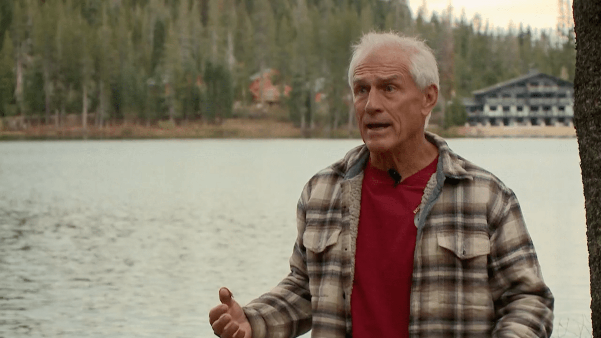 Swimmer attacked by otters in Serene Lake in California – NBC New York