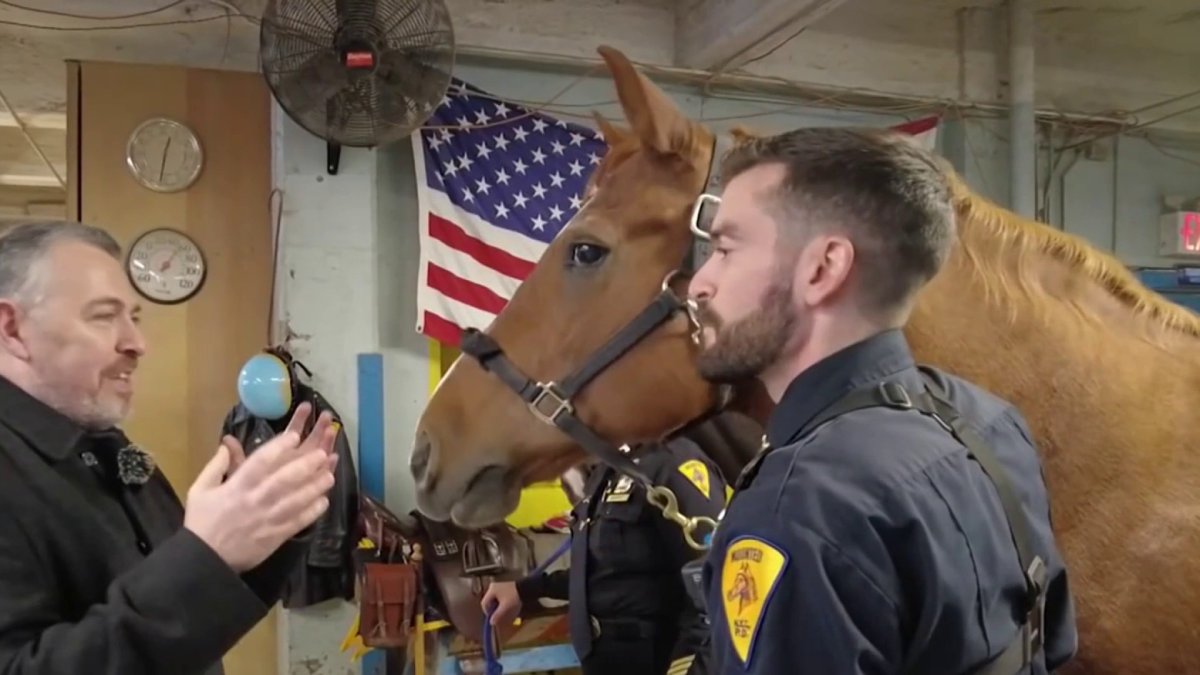 Father and Son Thank NYPD Officers After Rescue – NBC New York