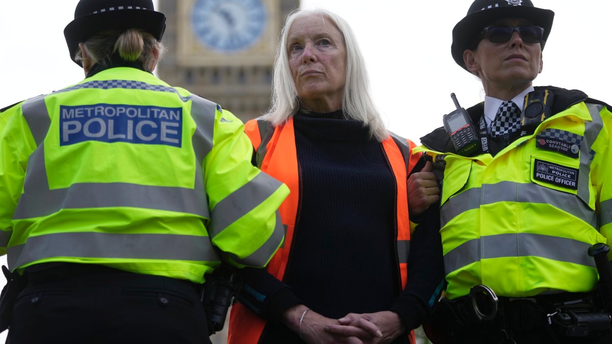 British law allows for the arrest of protesters in certain situations ...