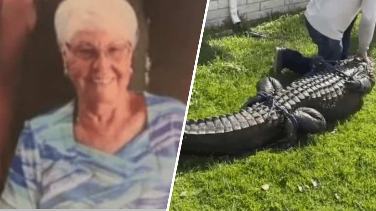 Suit filed a year after 85-year-old Florida woman killed in alligator ...