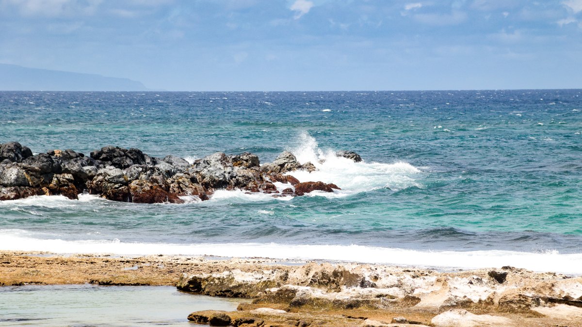 Surfer dies after shark ‘encounter’ in Hawaii – NBC New York