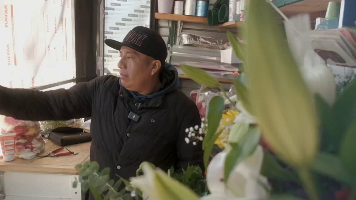 Suspect robbed Bronx flower shop, threatened man with gun over $10 ...