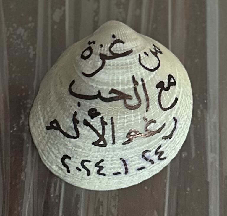 Texas doctor returns from Gaza medical mission – NBC New York