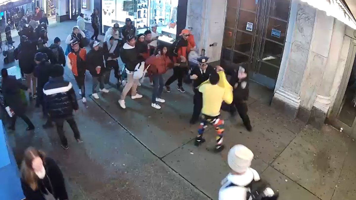 Times Square cop in brawl was once found liable in $5 million police ...
