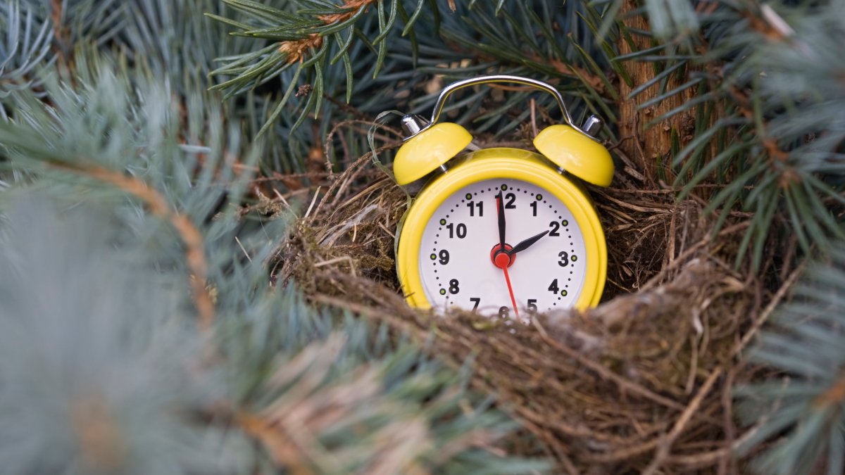 Daylight saving time: Why some want to stop the ‘spring forward’ – NBC ...
