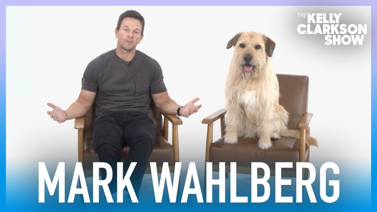 Mark Wahlberg teams up with Best Friend’s Animal Society to promote pet ...