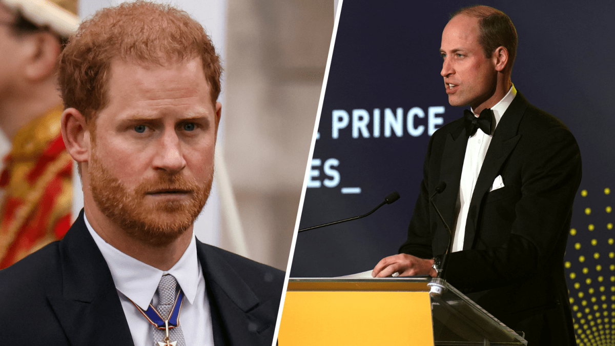 Princes William and Harry honor Princess Diana at the Diana Legacy ...