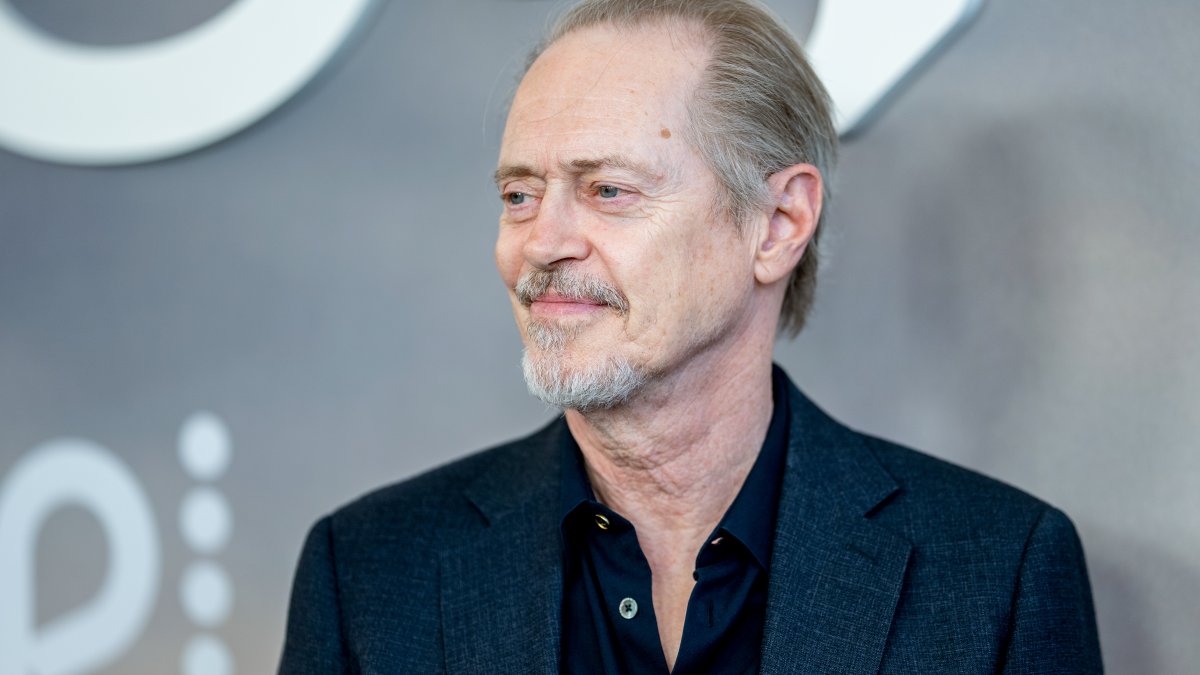 Steve Buscemi attack suspect held on bond after arrest – NBC New York