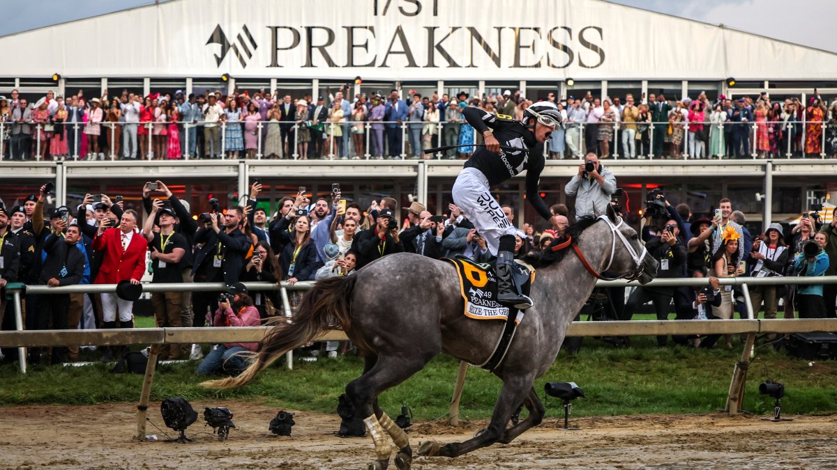 Seize the Grey wins Preakness Stakes – NBC New York