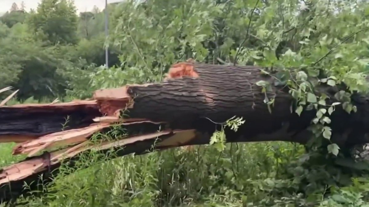 Severe wind storms across tri-state make for messy close to weekend ...