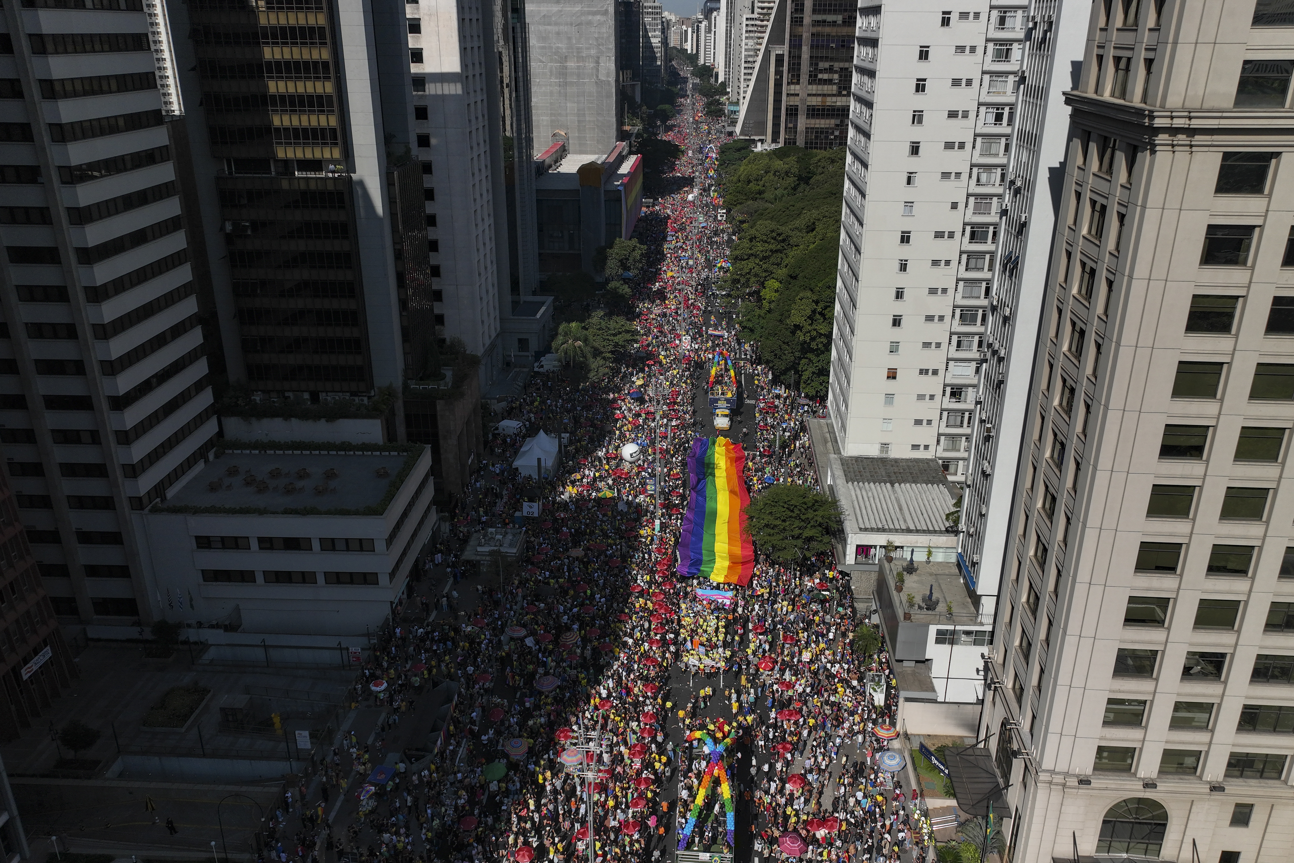 Gay pride parade-goers in Sao Paulo reclaim Brazil’s national symbols ...