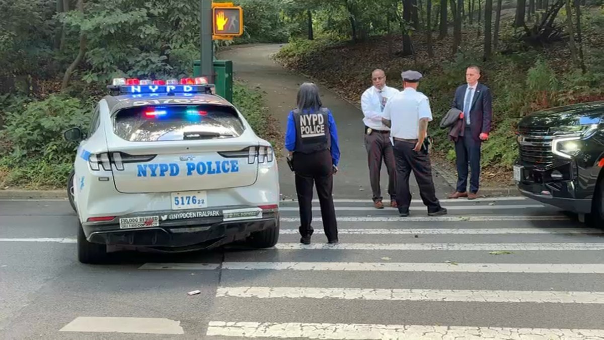 Central Park Attack Man Jumps On Sunbather In Nyc Park Nbc New York