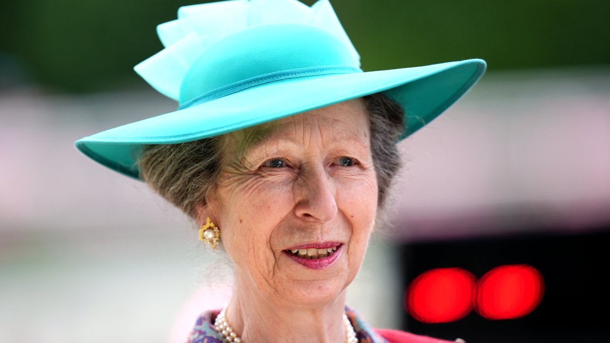 Princess Anne released from hospital after sustaining head injury – NBC ...