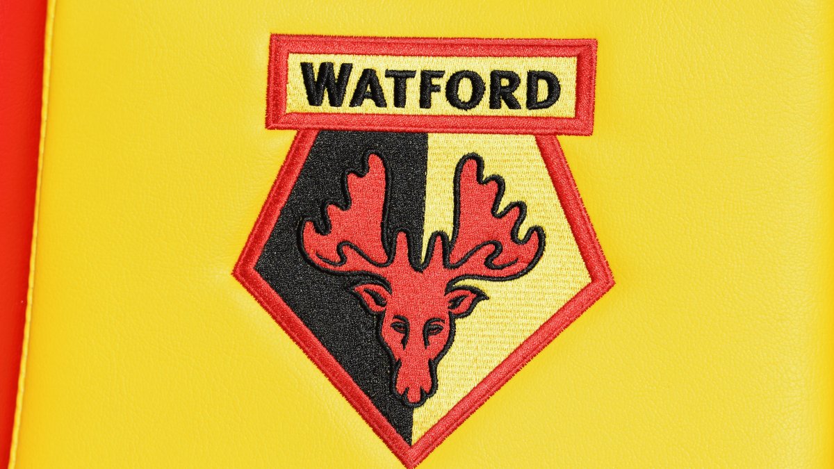 Watford to let fans buy ownership stakes to fund EPL return – NBC New York