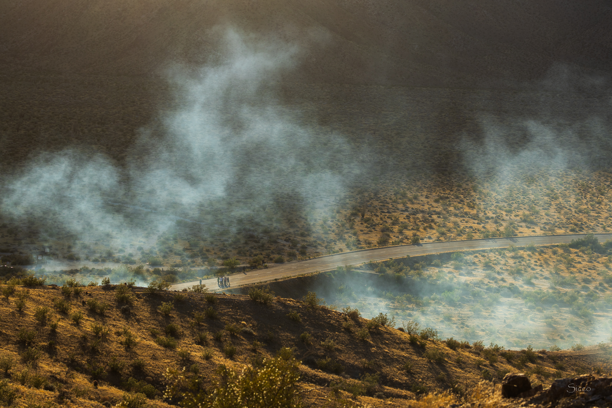 Leonardo DiCaprio, Sean Penn shoot movie in San Diego – NBC New York