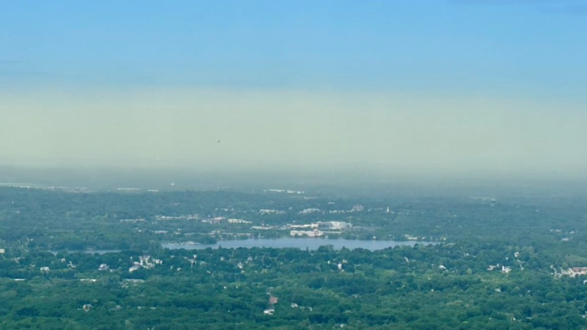 Boston pollen cloud: Why is there so much pollen this year? – NBC New York