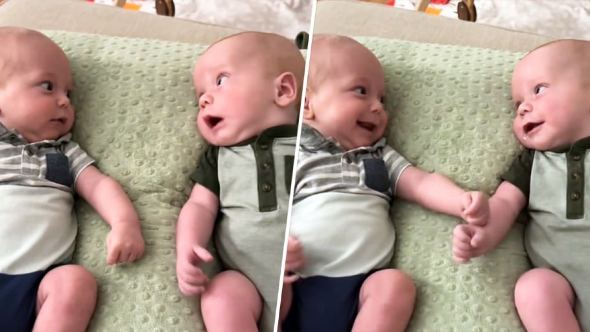Watch these adorable twin babies meet each other for the first time ...