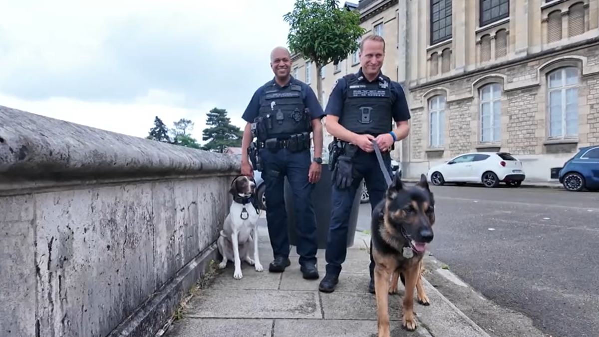 NYPD dogs help patrol the 2024 Paris Olympics – NBC New York