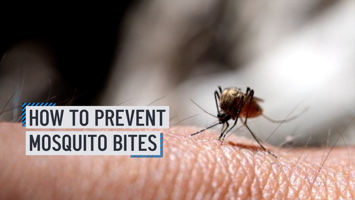 How to prevent mosquito bites – NBC New York
