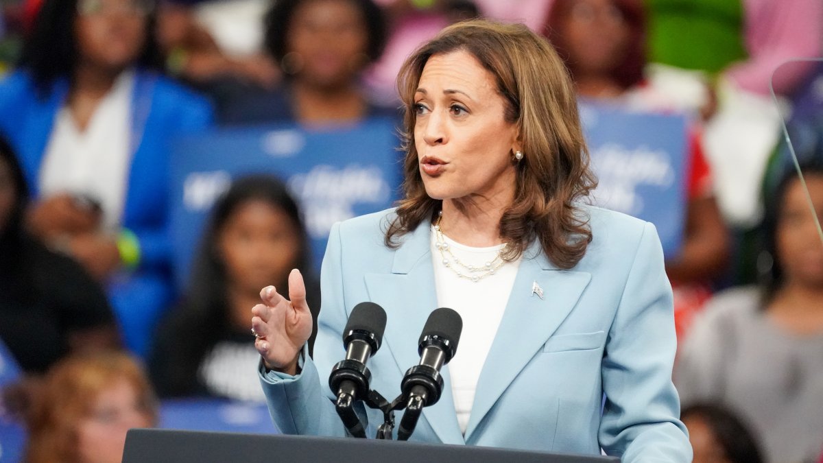 A closer look at Harris’ new economic proposals – NBC New York