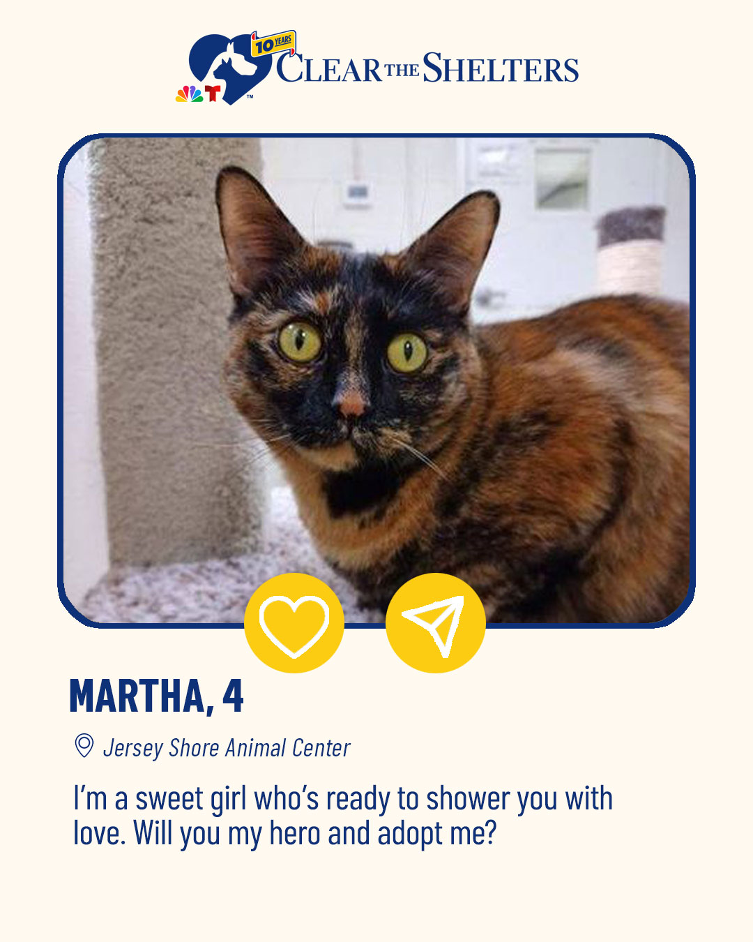 Animal shelters near me: Meet Clear The Shelters’ adoptable pets for ...