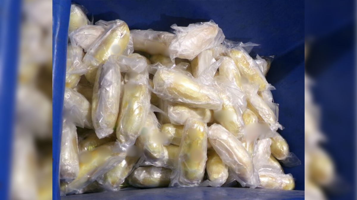 $5M+ worth of meth found in fake watermelons, celery shipment near US ...