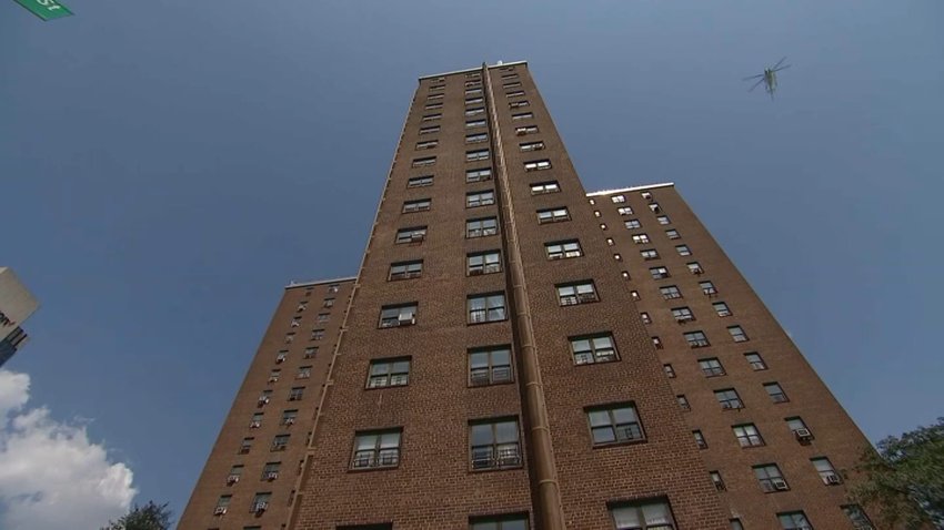 Dog dies from injuries after trash room discovery at NYCHA building ...