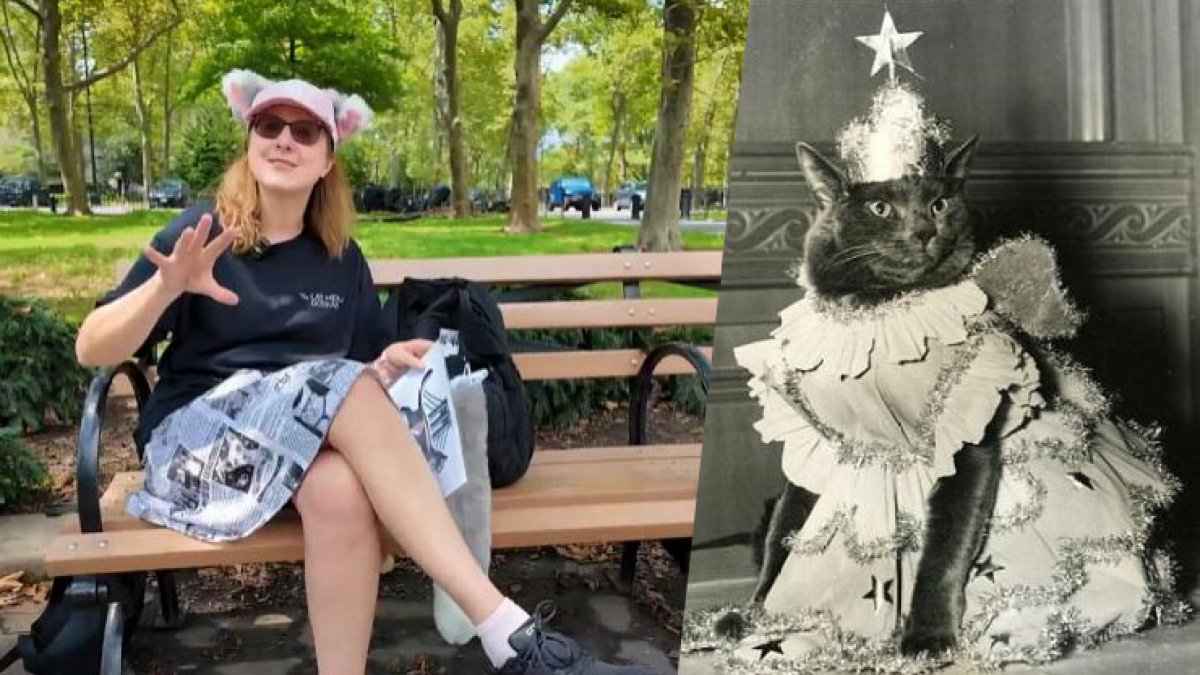 NYC cats walking tour debut in Brooklyn – NBC New York