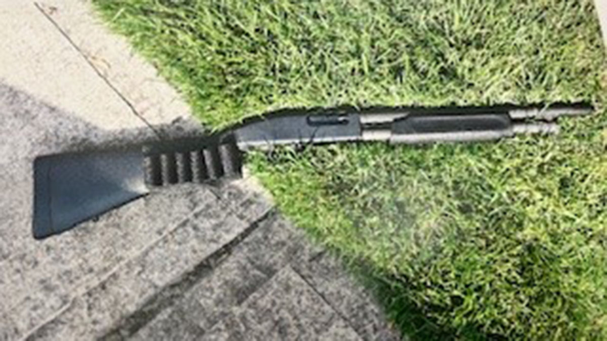 Syosset shooting: Brother, siblings identified day after Long Island ...