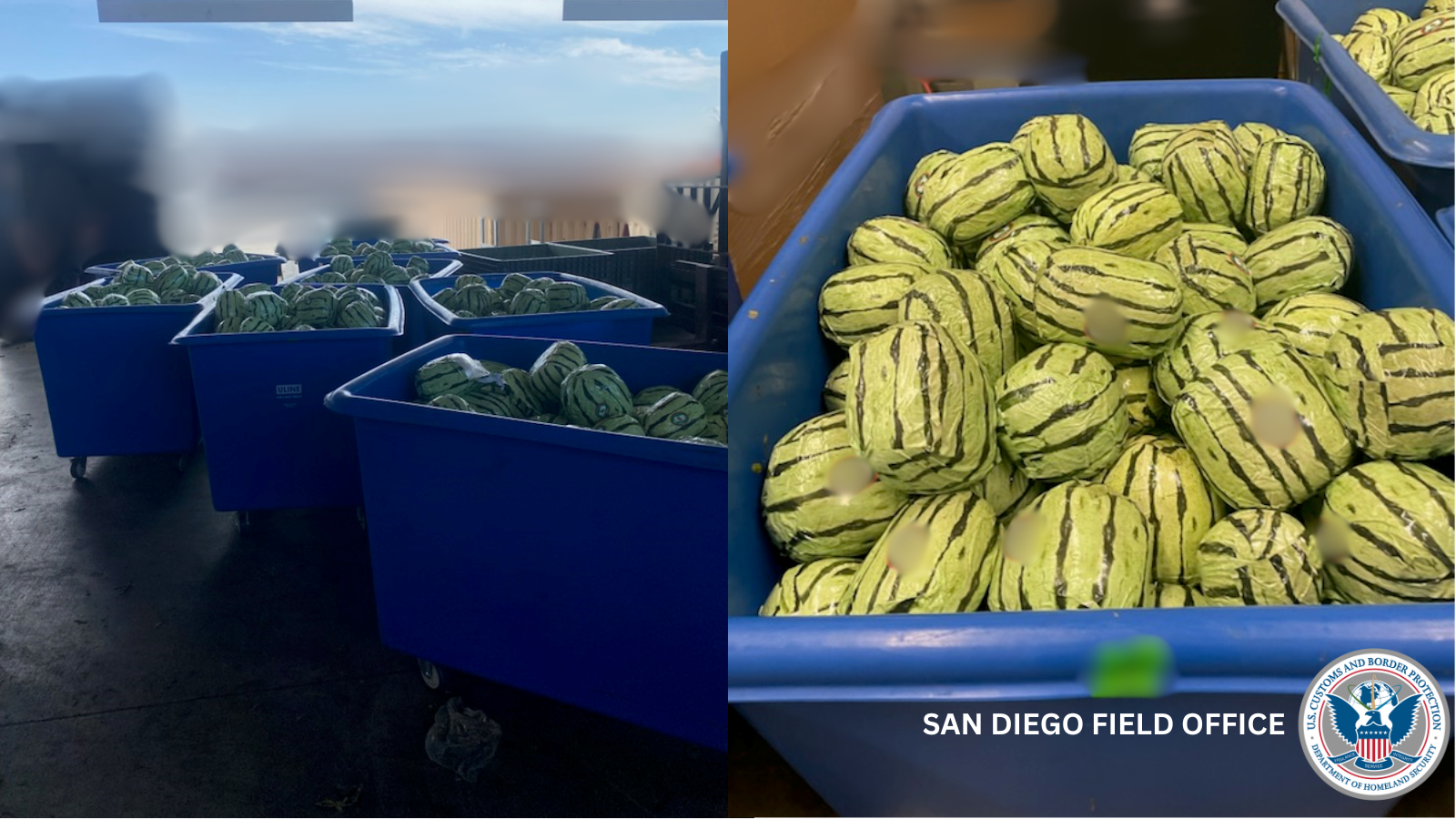 $5M+ worth of meth found in fake watermelons, celery shipment near US ...