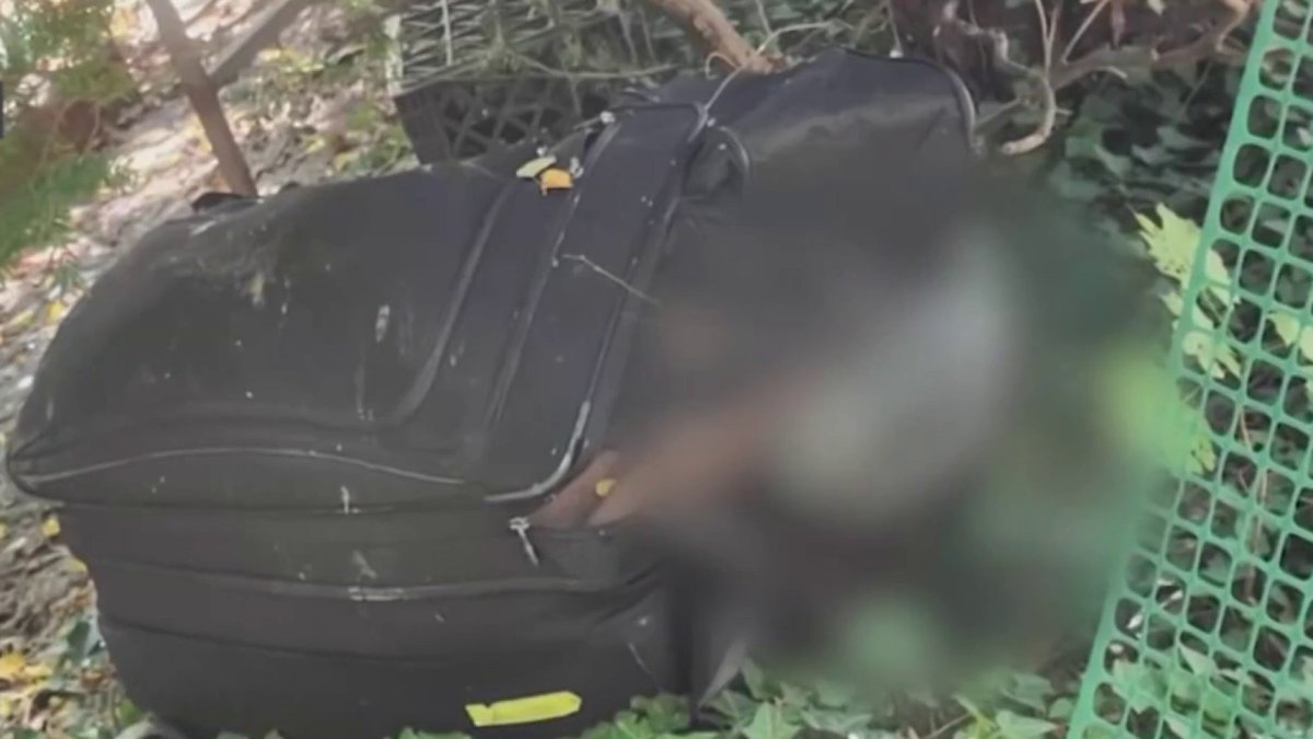 Body Found In Suitcase On Long Island Nbc New York 9951