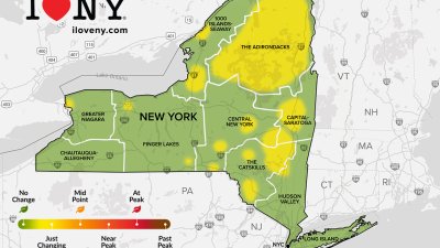 Best fall foliage spots in NY: Map shows when and where peak spots are ...