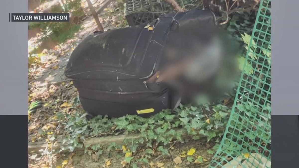 Long Island News Suspect Arrested In Womans Remains Found In Suitcase In Huntington Nbc New York 3403
