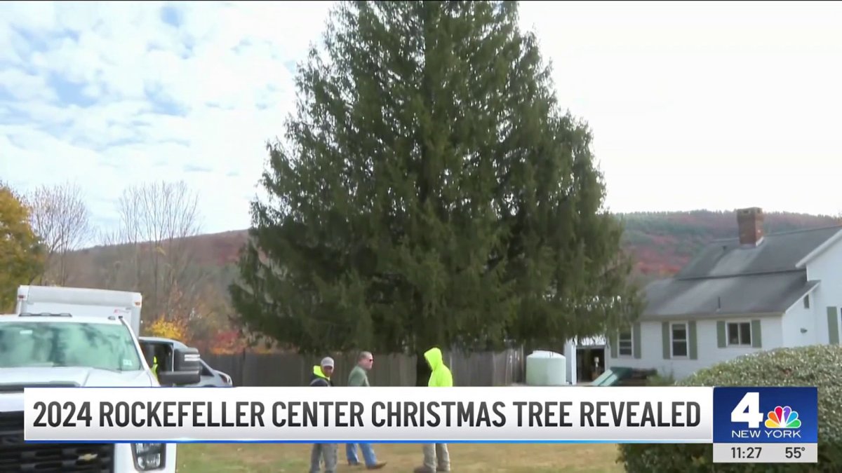 2024 Rockefeller Center Christmas tree revealed – NBC New York