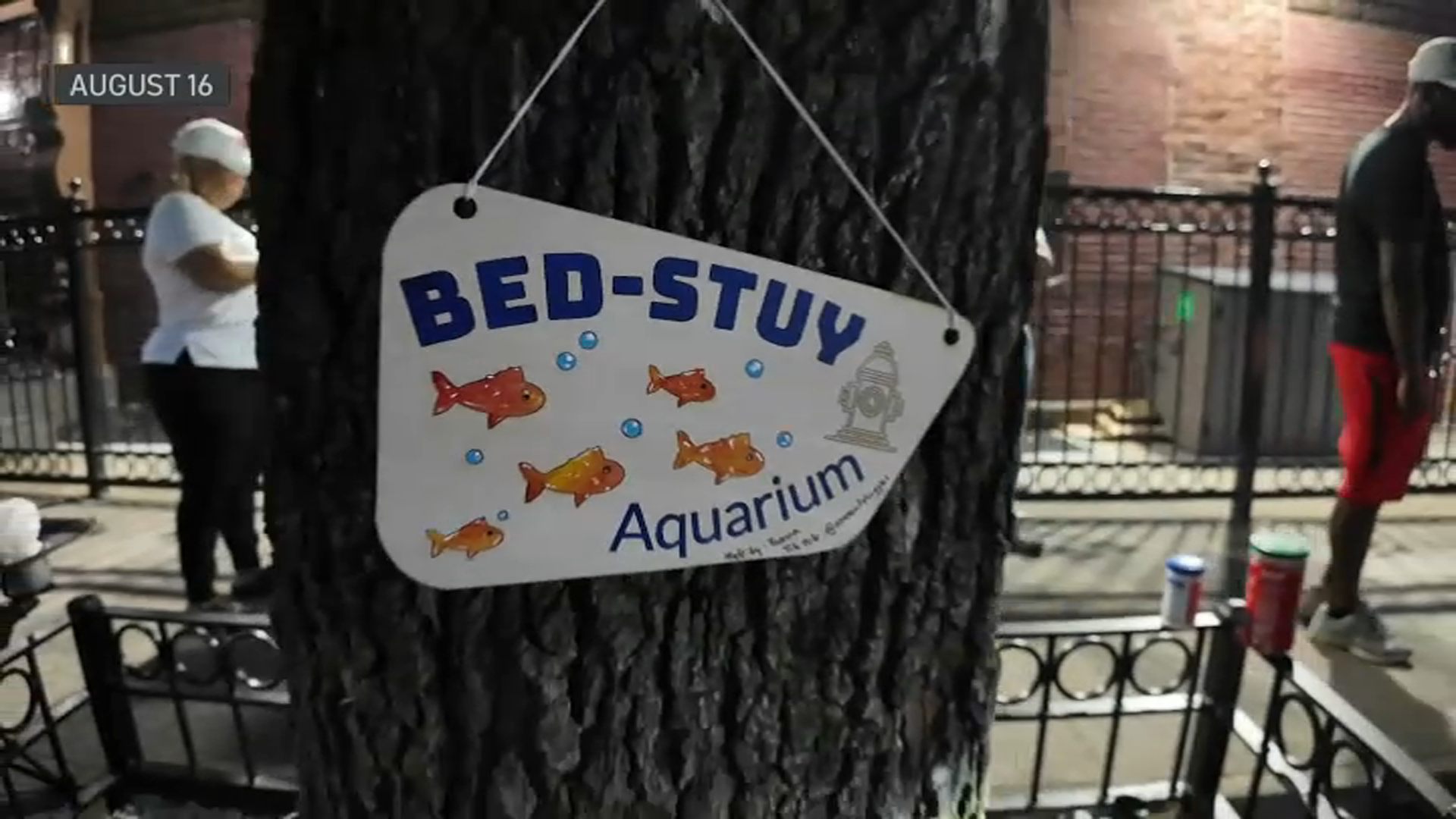 Bed-Stuy Aquarium paved over in Brooklyn – NBC New York