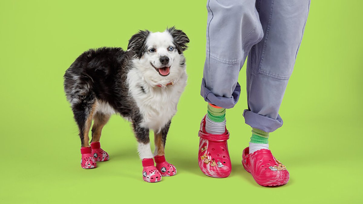 Crocs is releasing shoes for dogs and matching clogs for humans – NBC ...