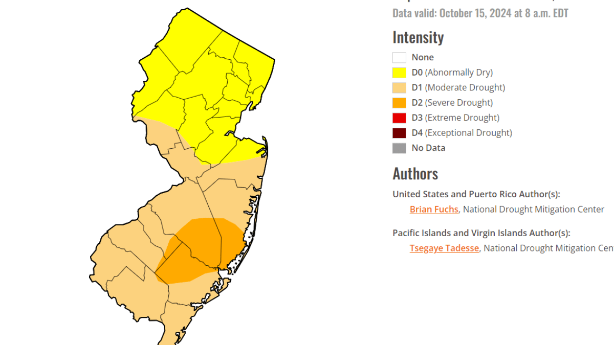 NJ weather: Drought watch issued statewide – NBC New York
