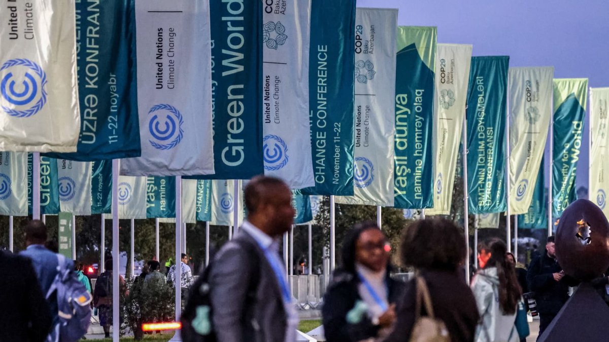 Business leaders weigh the U.S.’ role in climate policy as Trump ...