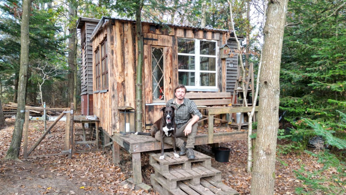36-year-old in Denmark quit his job and built himself a tiny home in ...